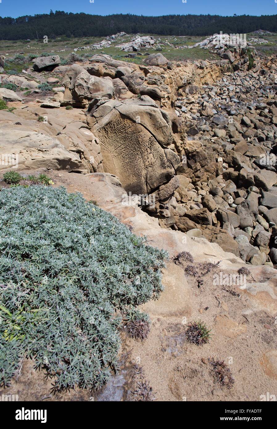 Rock formations at Salt Point State Park on the northern California ...