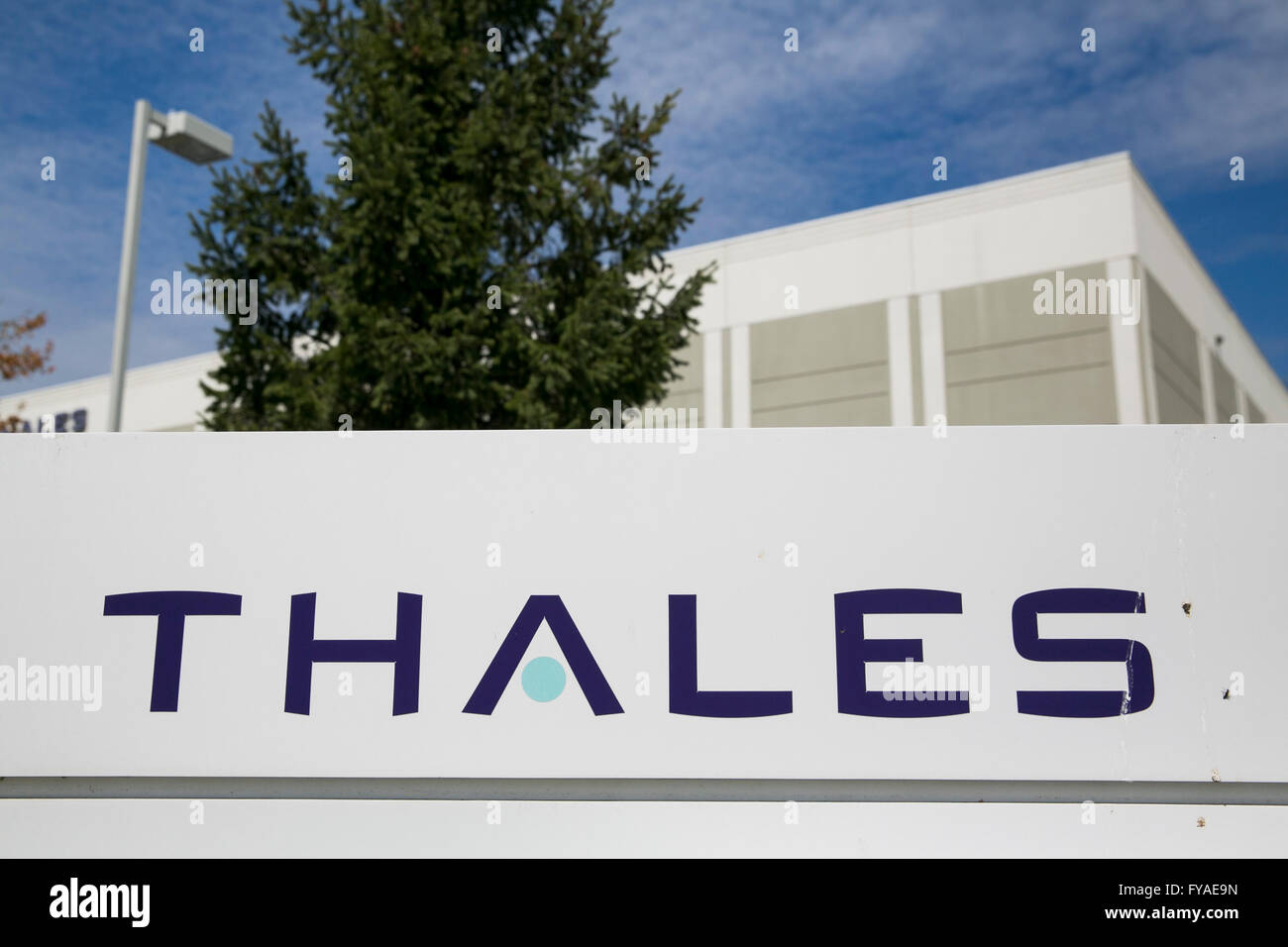 Thales Group Logo