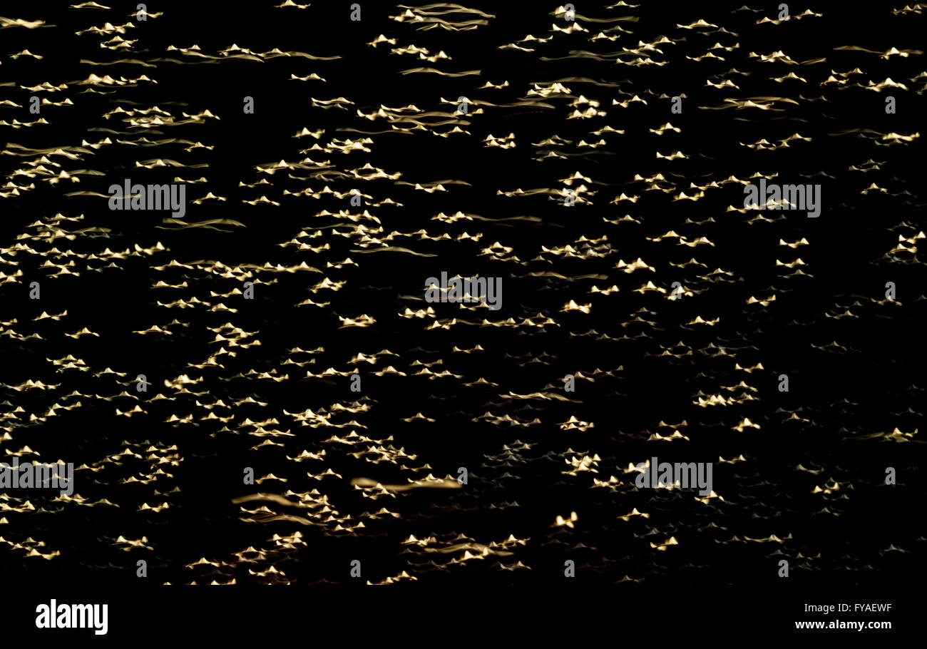 Mayflies hi-res stock photography and images - Alamy