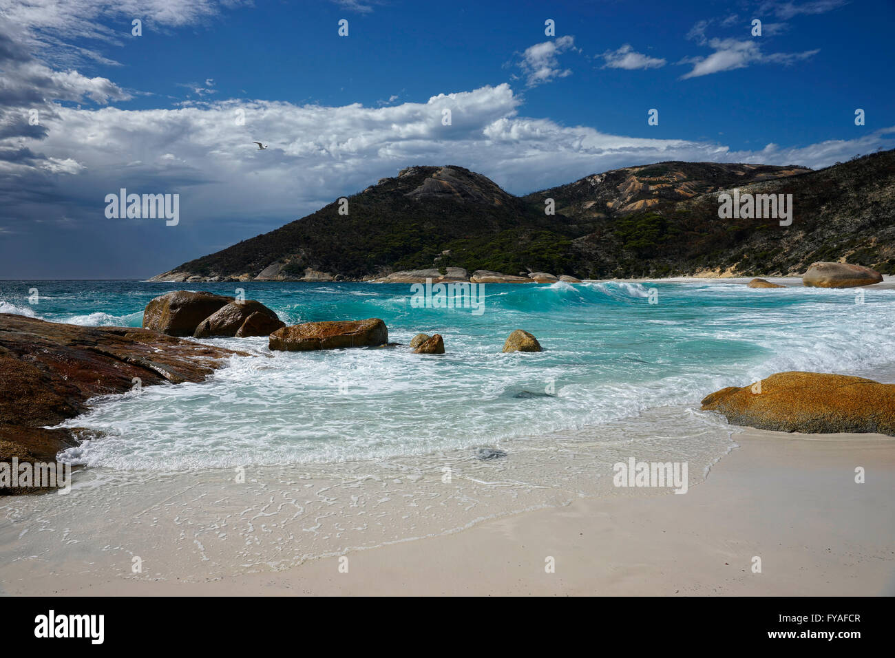 Australian beaches hi-res stock photography and images - Alamy