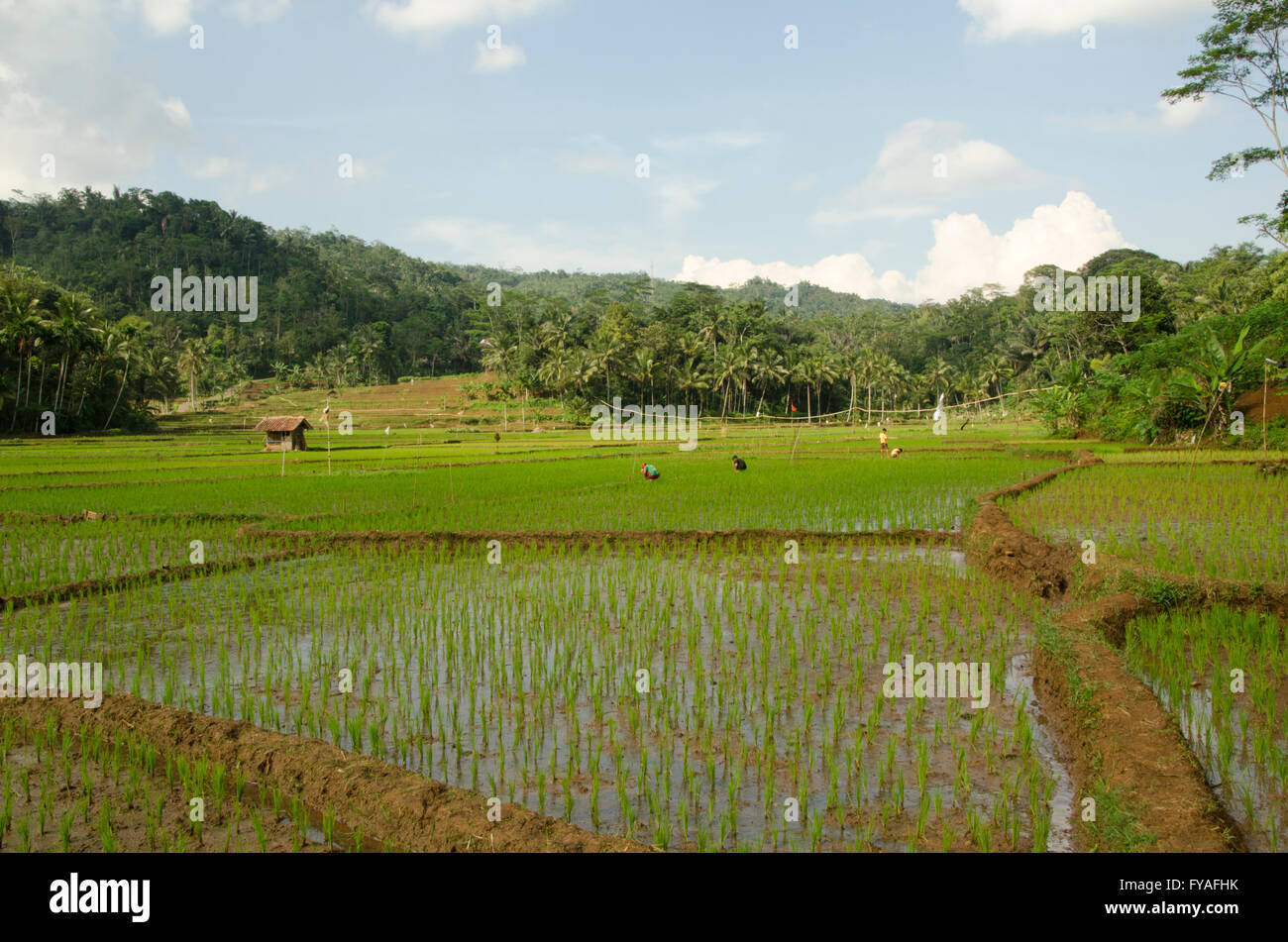 Children fields hi-res stock photography and images - Alamy