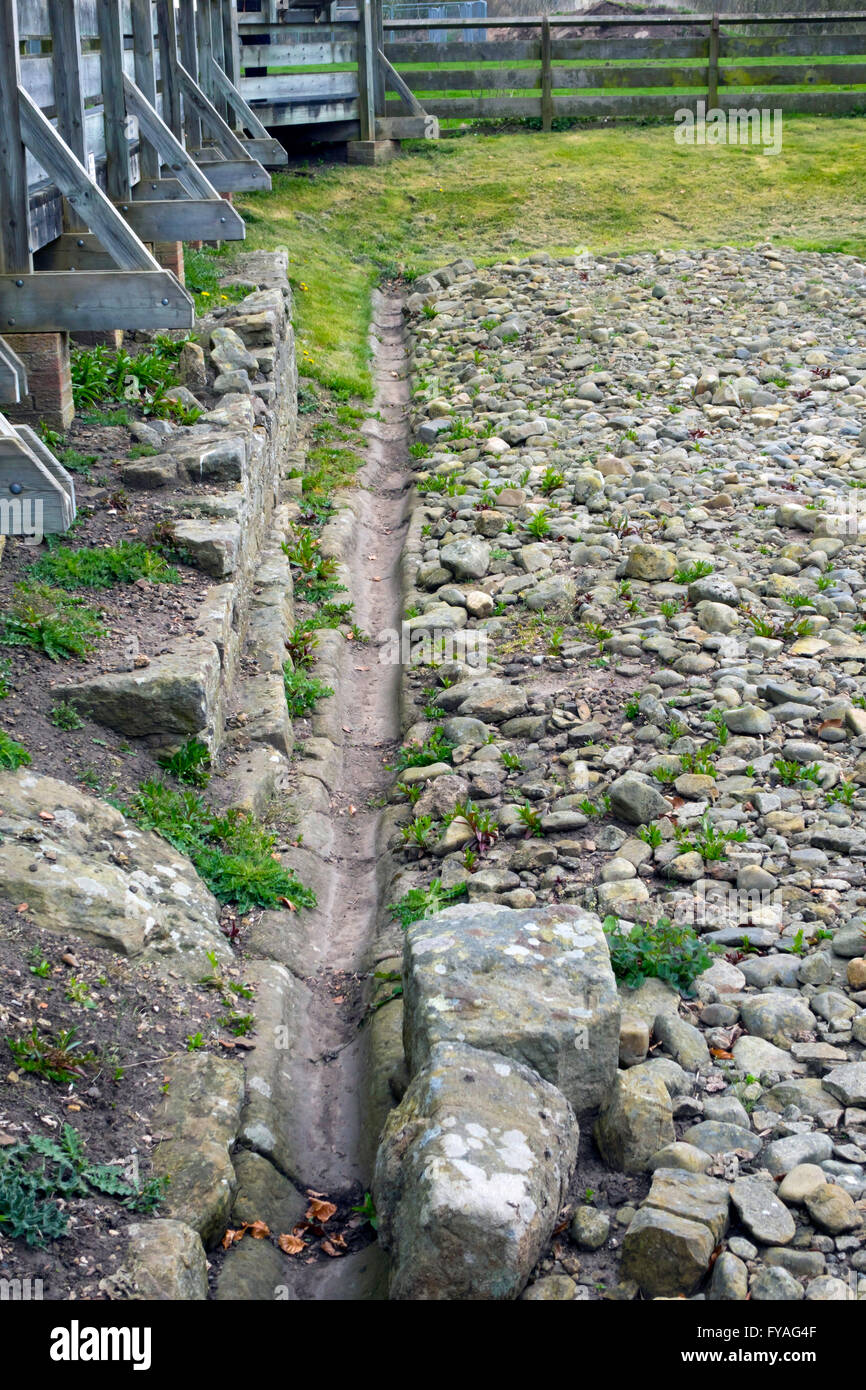 A section of Dere Street Roman Road passing Binchester Fort showing ...