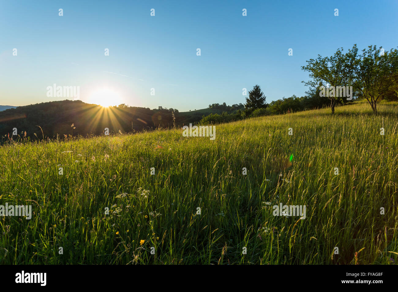 Perfect sunrise hi-res stock photography and images - Alamy