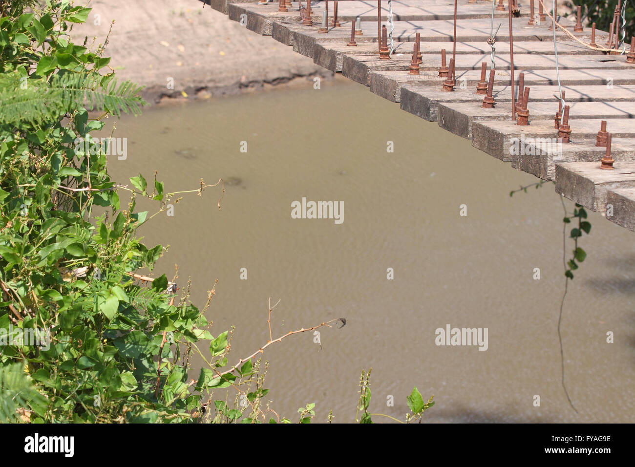 Swamp bridge hi-res stock photography and images - Alamy