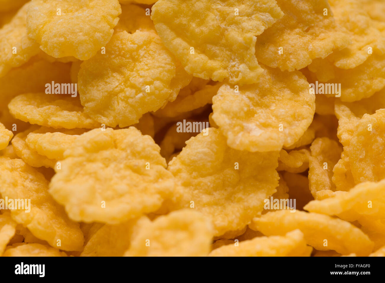 yellow cornflakes photographed close-up on the plate Stock Photo - Alamy