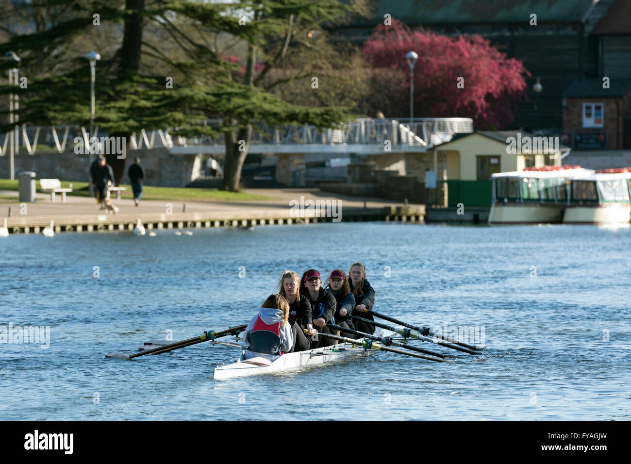 British female rowers hi-res stock photography and images - Alamy