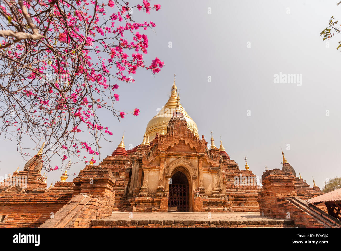 Temple at Bagan, Burma Stock Photo - Alamy