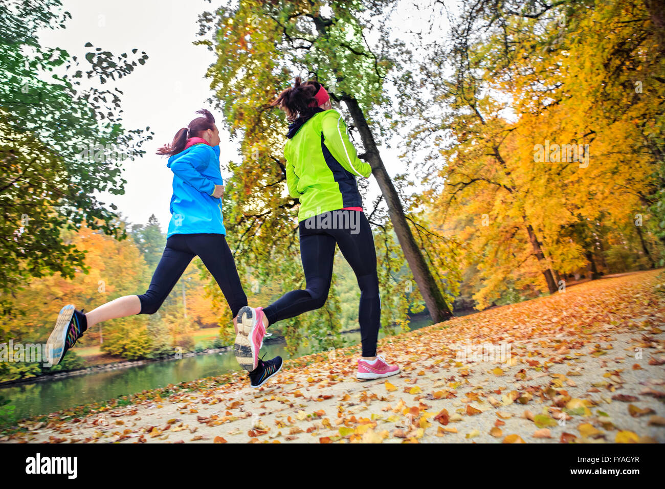 Two women jogging in an autumn park Stock Photo - Alamy