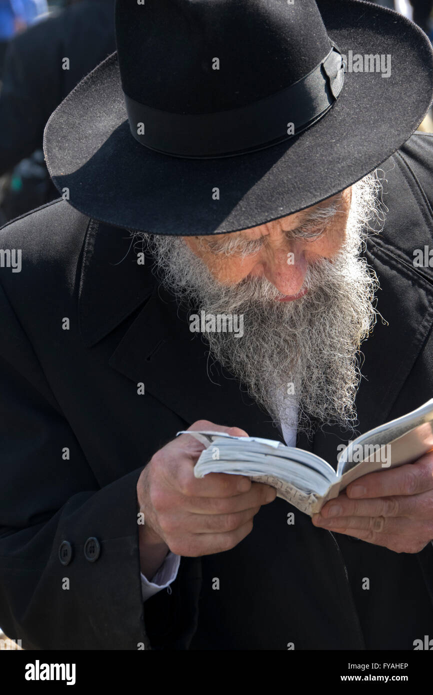 Jewish man reading hi-res stock photography and images - Alamy