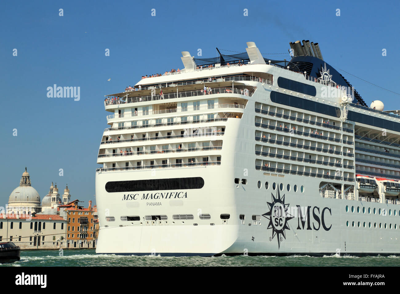 S magnifica hi-res stock photography and images - Alamy