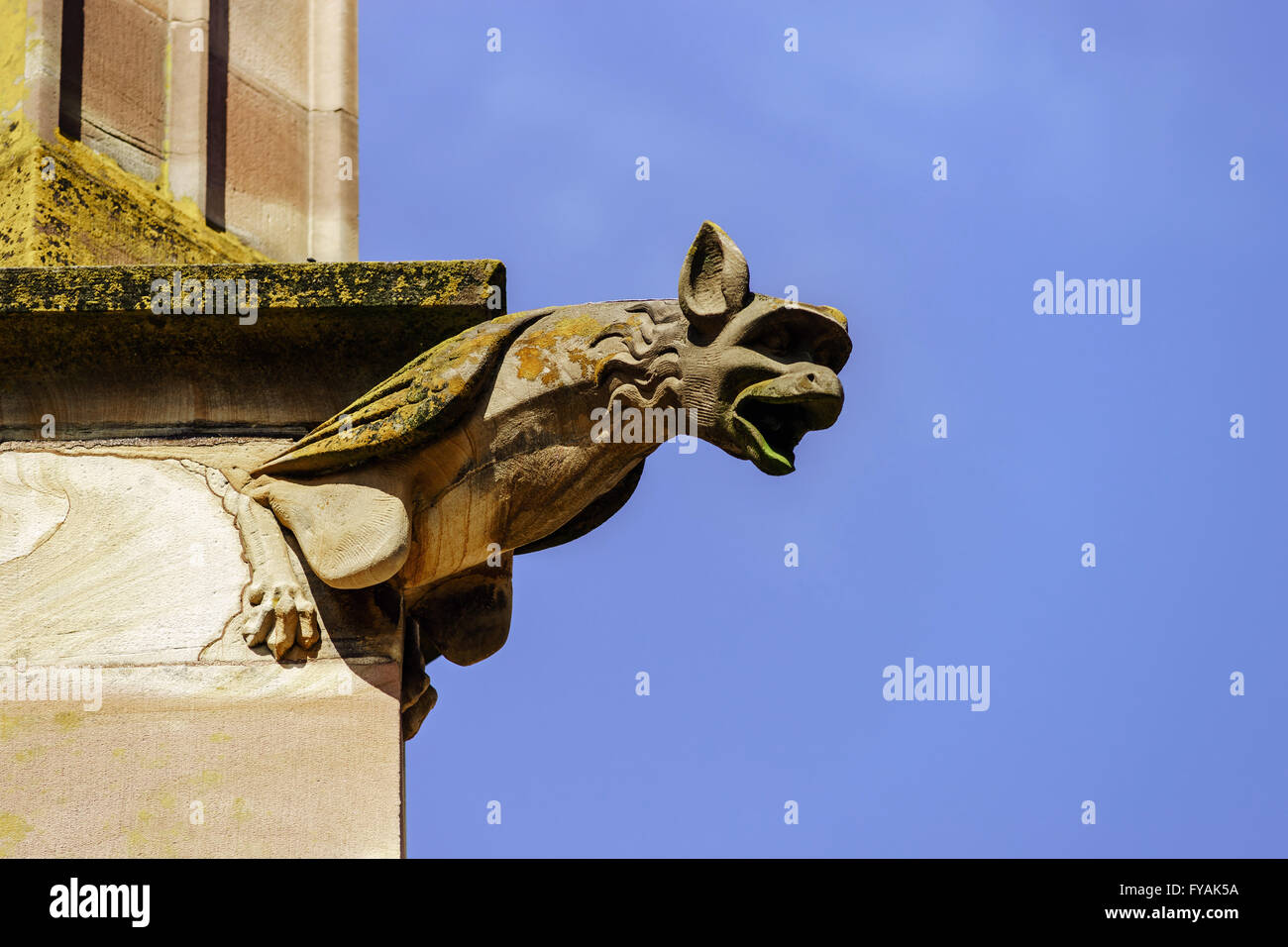 Gargoyle on a gothic cathedral, detail of a tower on blue sky ...