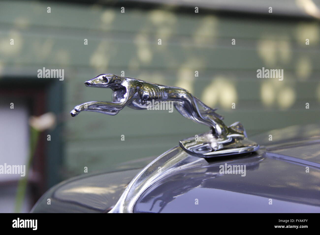 Radiator cap ornament hi-res stock photography and images - Alamy