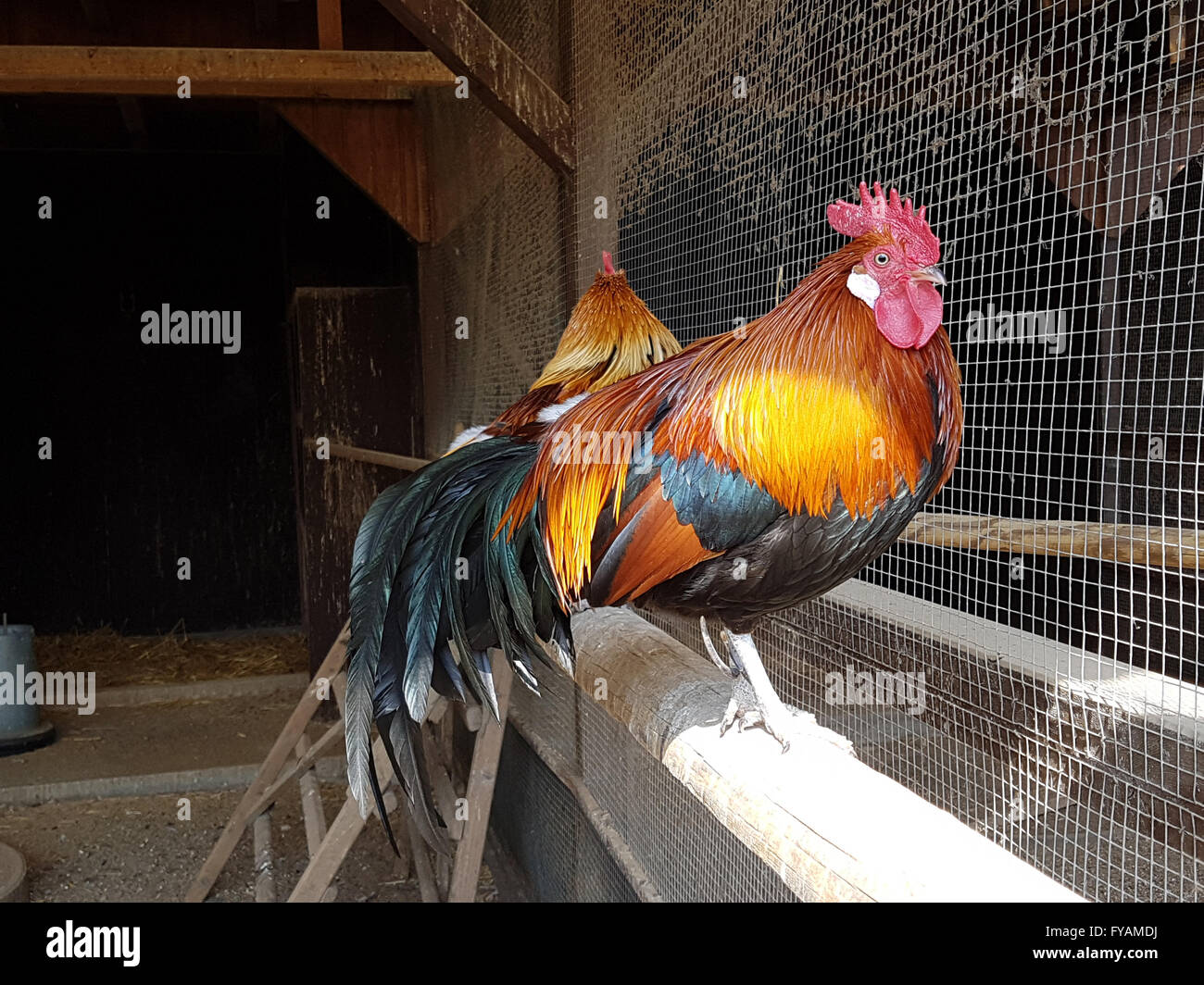 New Hampshire; Hahn Stock Photo - Alamy