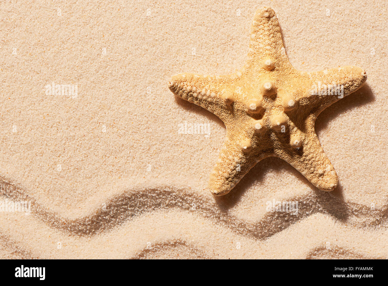 Starfish on sand with mark of wave. Summer beach background. View from ...