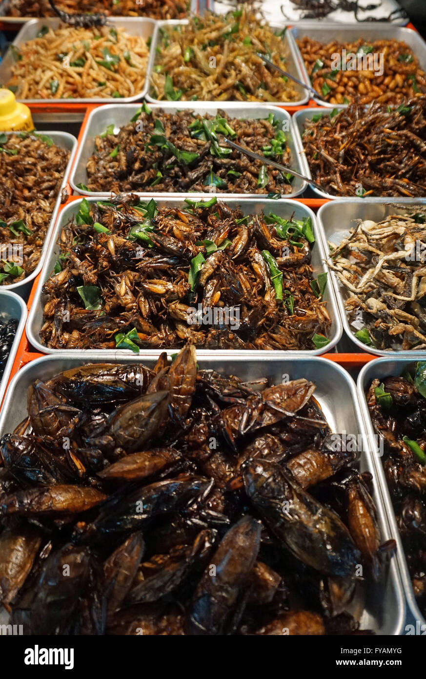 asian street food with fresh tasty bugs Stock Photo - Alamy