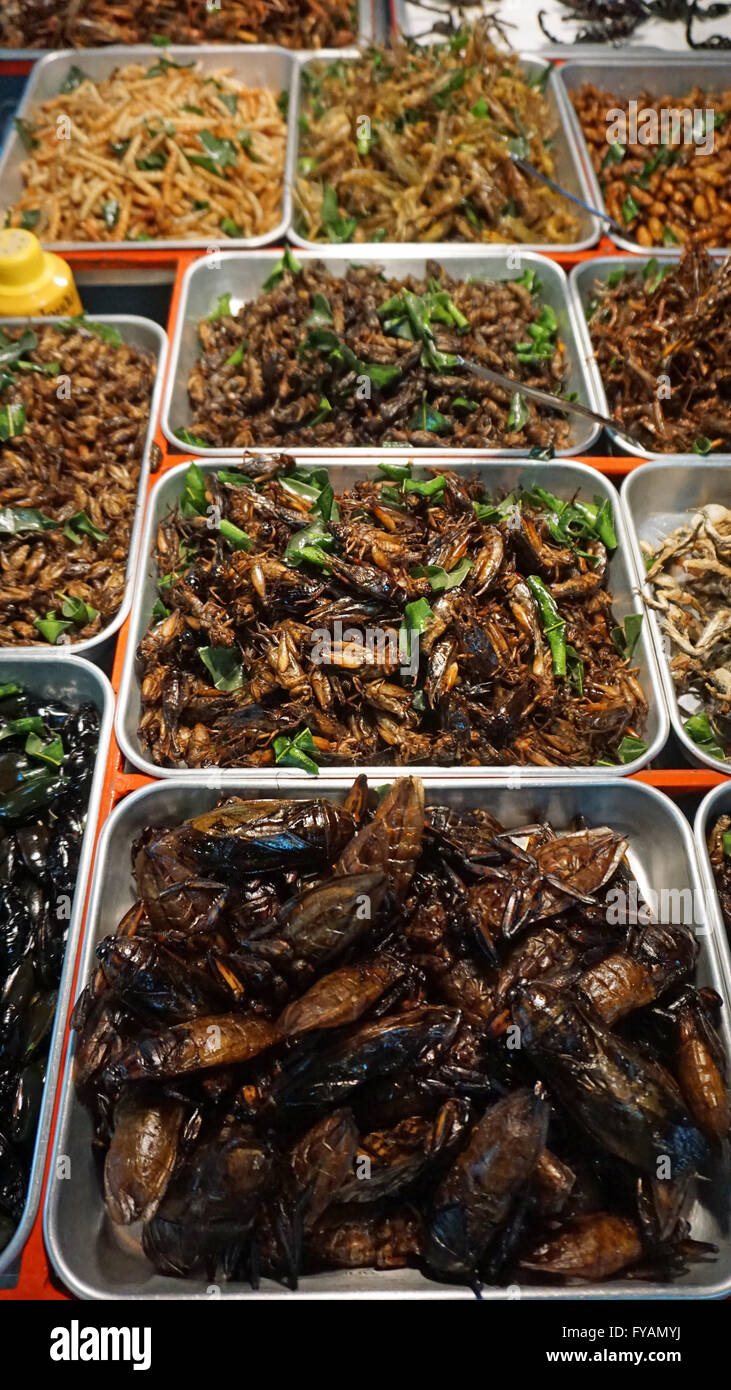 asian street food with fresh tasty bugs Stock Photo - Alamy