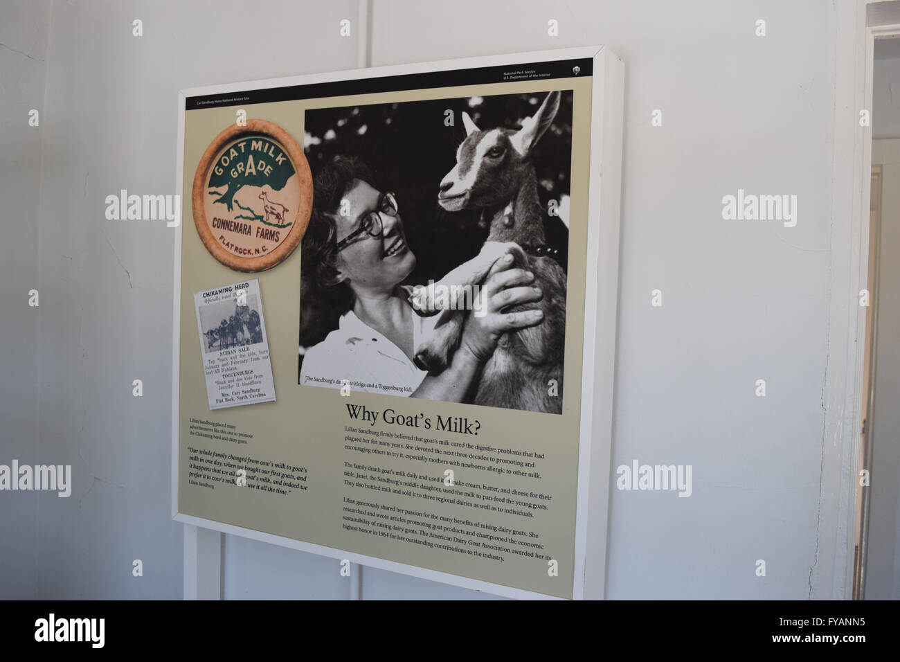 Connemara Farms and Goat Dairy where Lillian Sandburg raised her prize ...