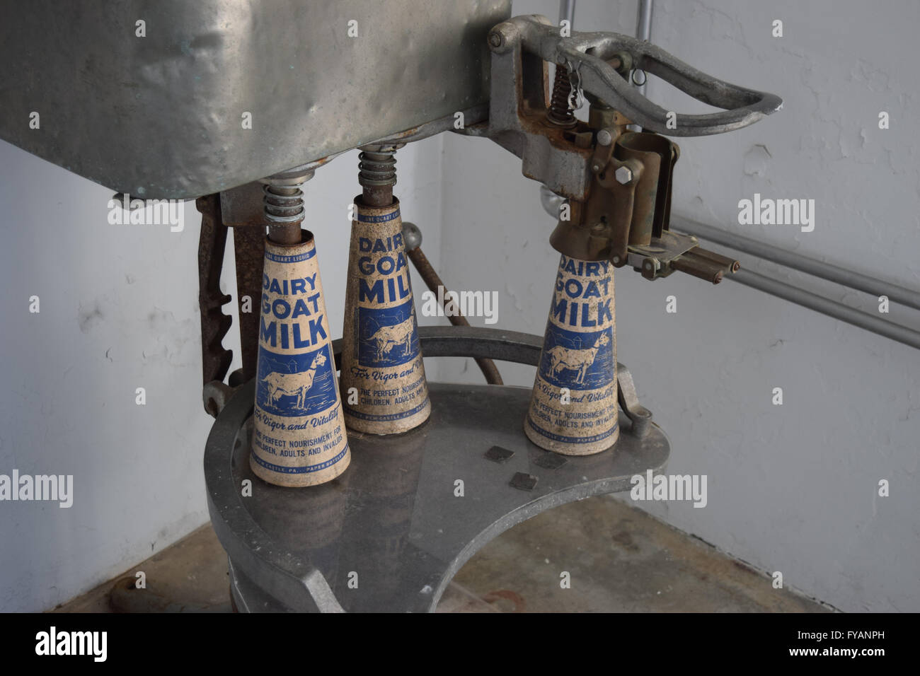 Farm raised goats hi-res stock photography and images - Alamy
