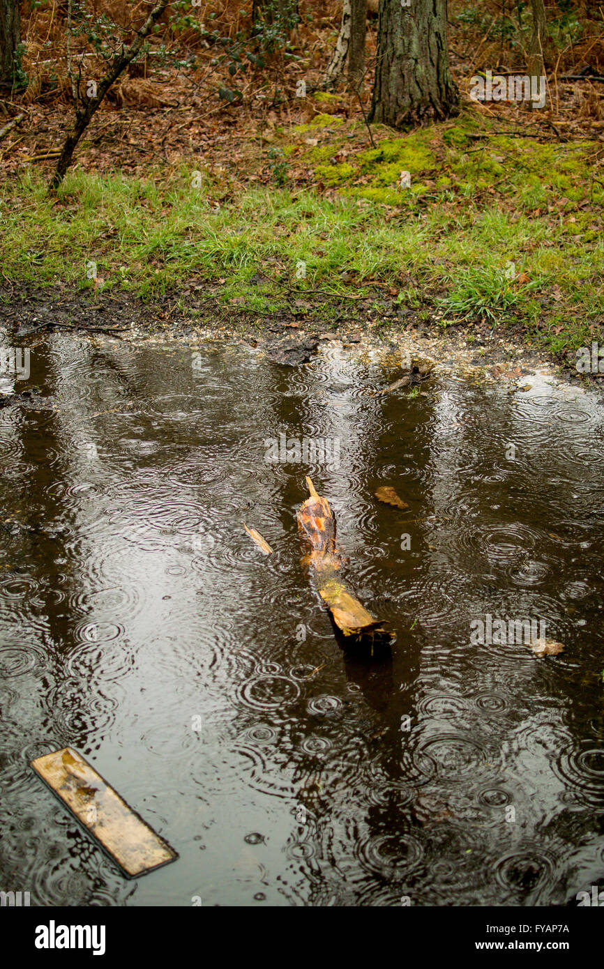 Puddle in the rain Stock Photo - Alamy