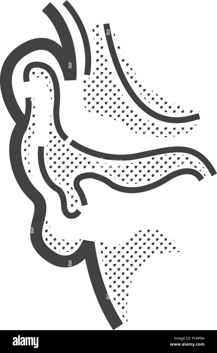 Outer ear Stock Vector Images - Alamy