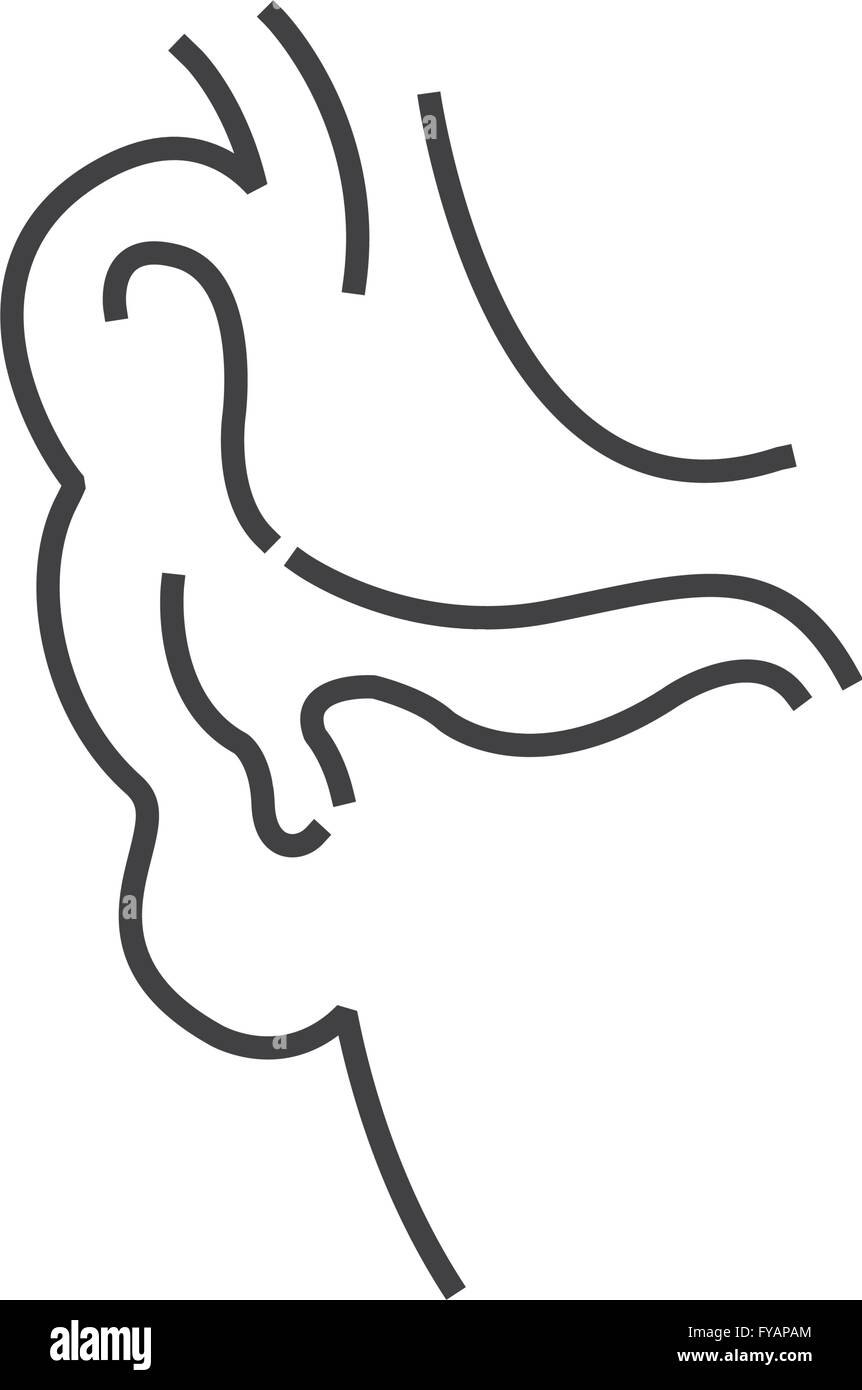 Human ear anatomy Black and White Stock Photos & Images - Alamy