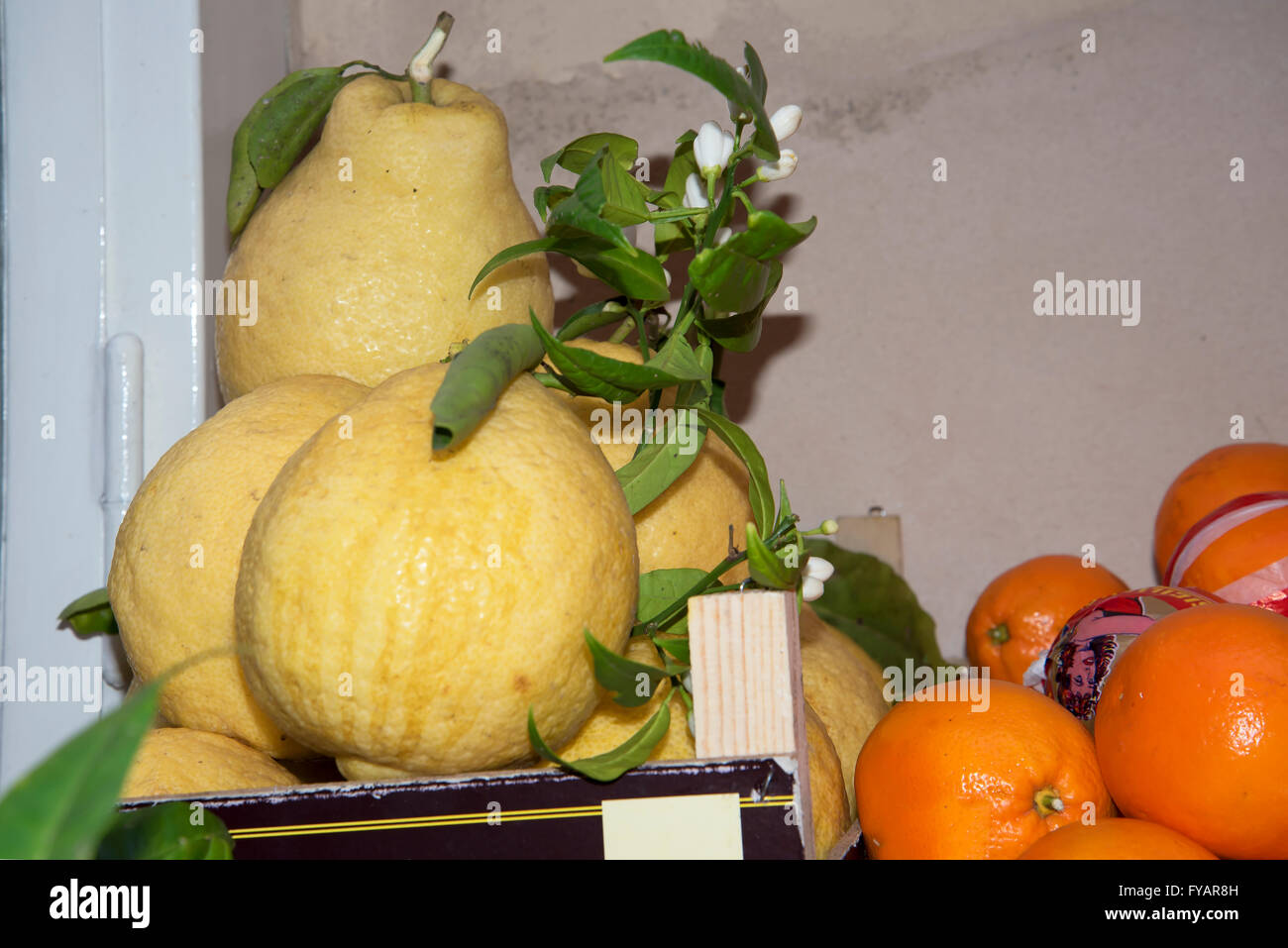 Huge lemons in Sorrento Italy Stock Photo - Alamy