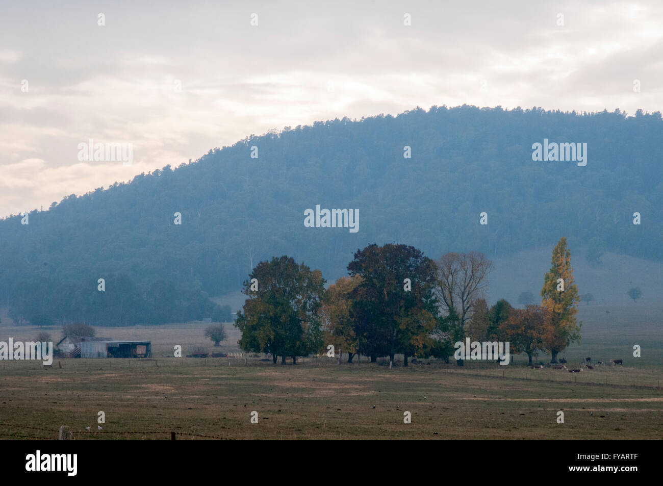 Buckland hi-res stock photography and images - Alamy