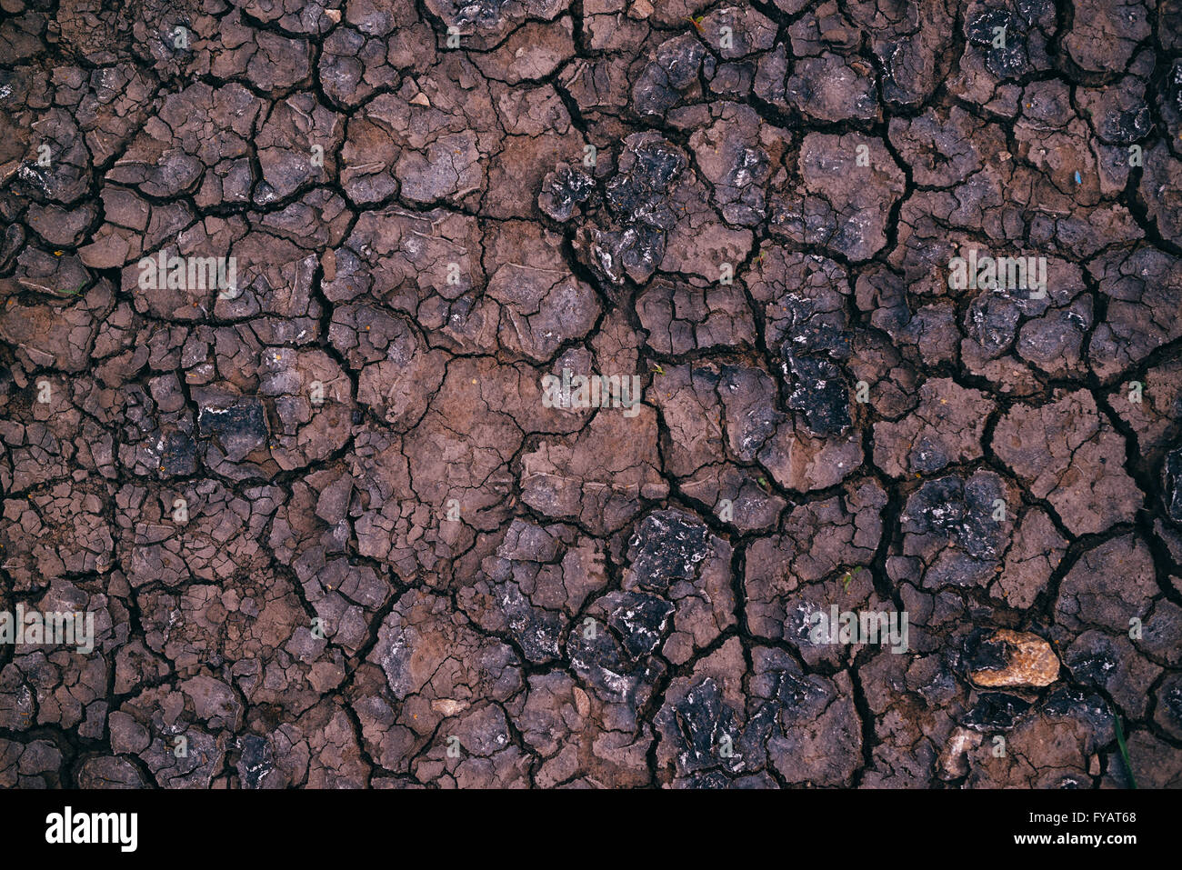 Soil drought, cracks in dry land, natural texture Stock Photo - Alamy