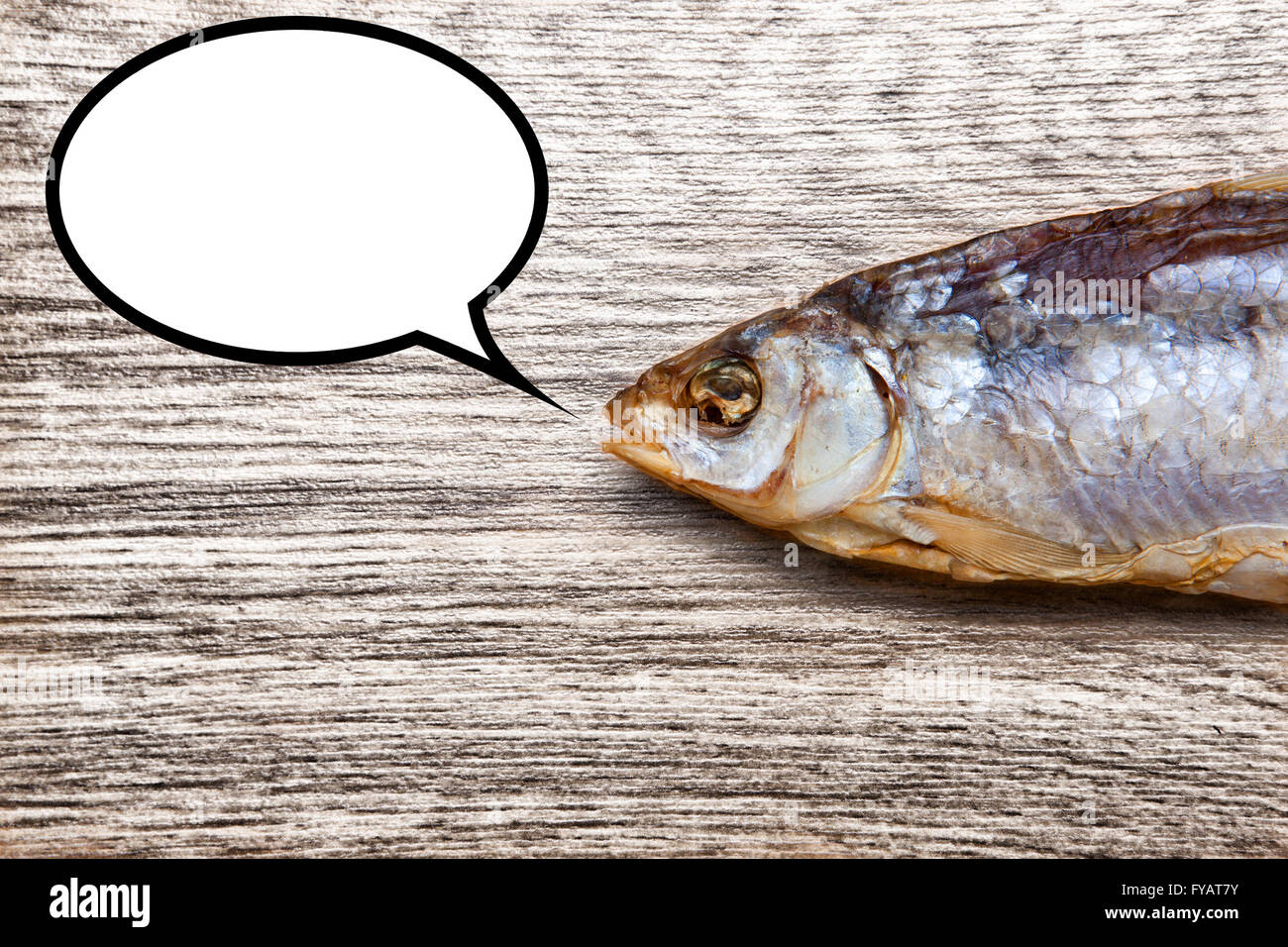 Talking with fish hi-res stock photography and images - Alamy