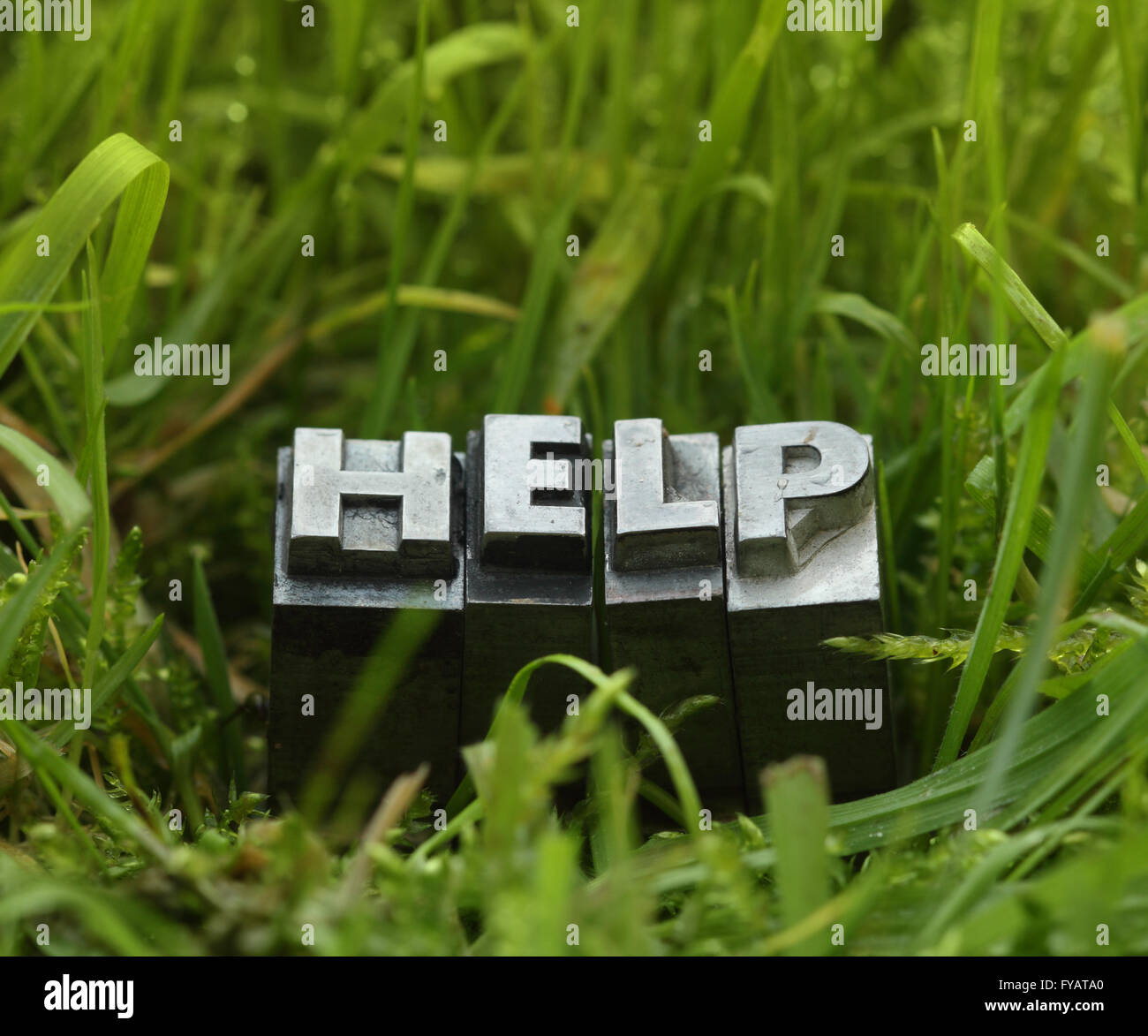 Letterpress green message, ecology and environment concepts Stock Photo ...