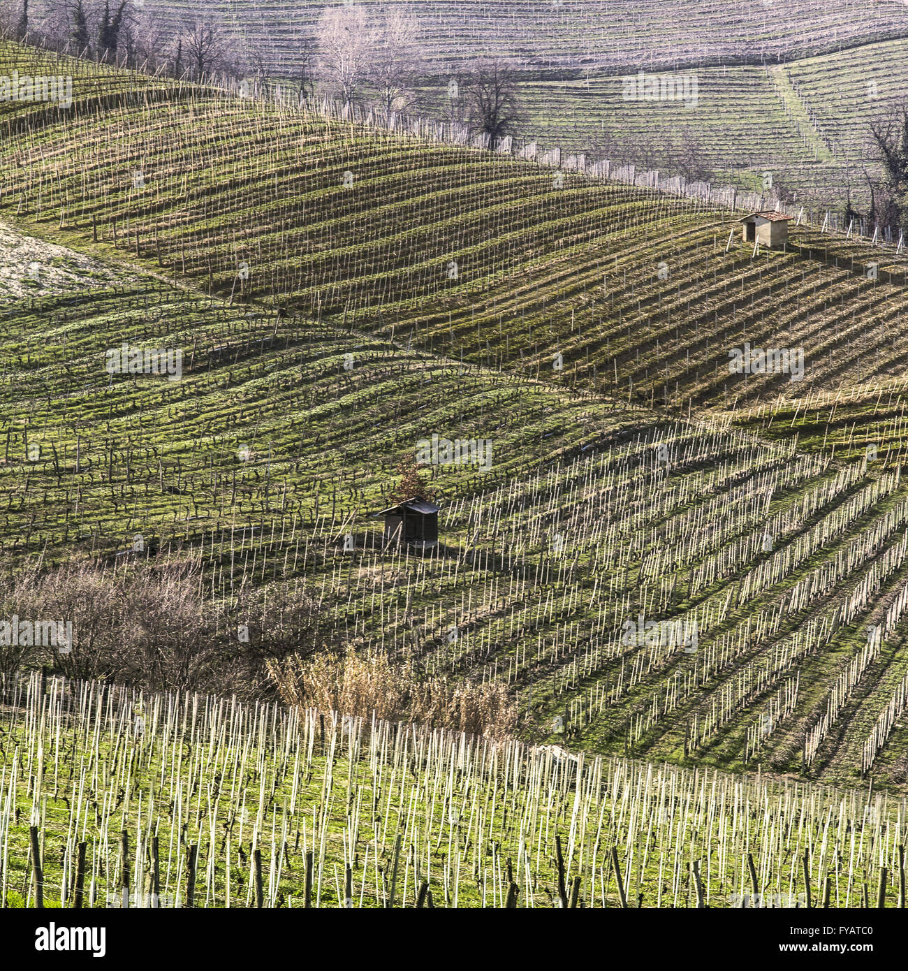 Tuscany typical rural landscape, Italian countryside Stock Photo - Alamy