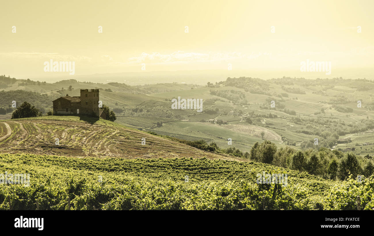 Tuscany typical rural landscape, Italian countryside Stock Photo - Alamy