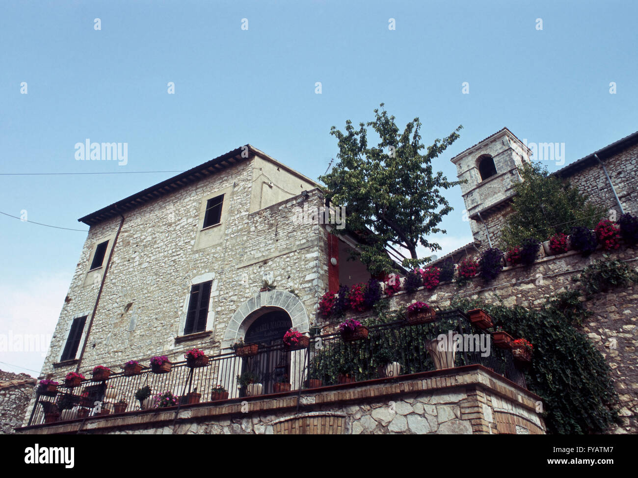 Foreshortening of Labro (RI Stock Photo - Alamy