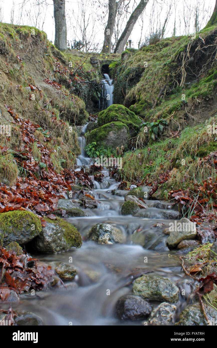 Water flowing over rocks and decaying leaves on the banks of Bala lake ...