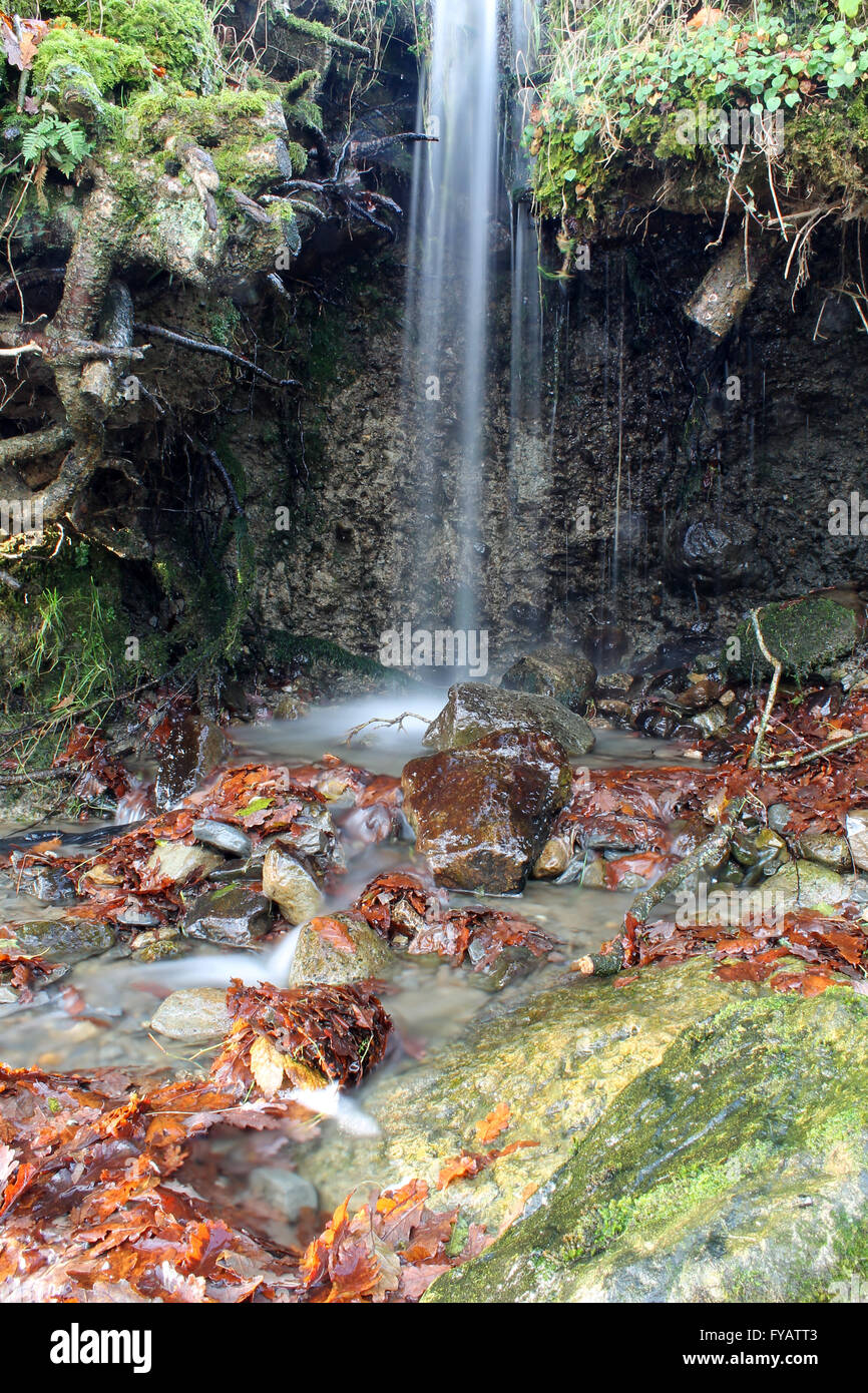 Water flowing over rocks and decaying leaves on the banks of Bala lake ...