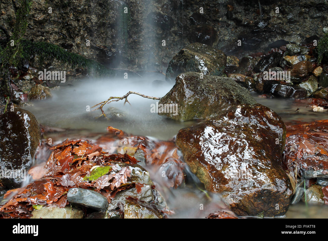 Water flowing over rocks and decaying leaves on the banks of Bala lake ...