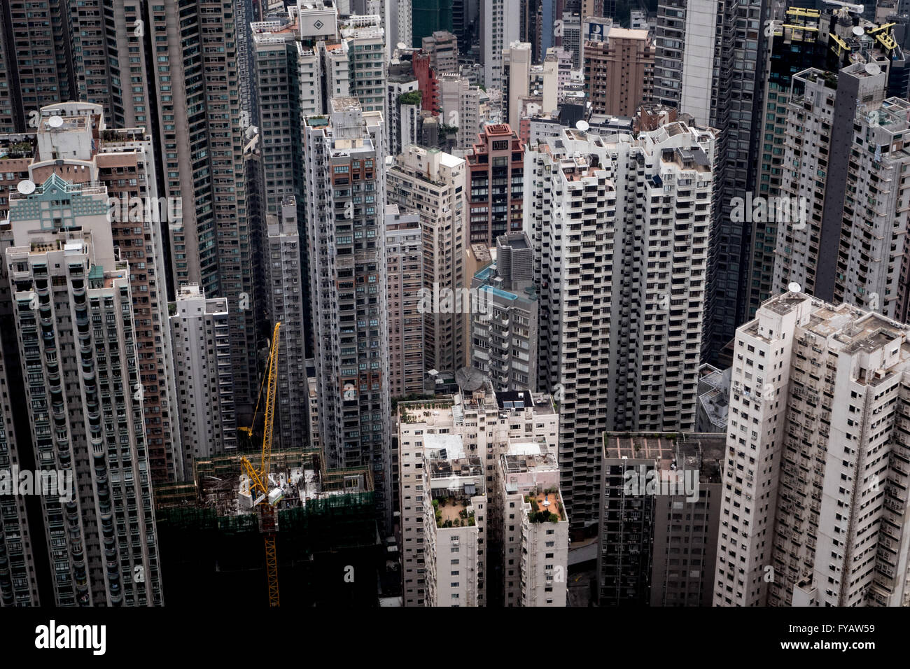 Buildings in Hong Kong City SAR, China Stock Photo - Alamy