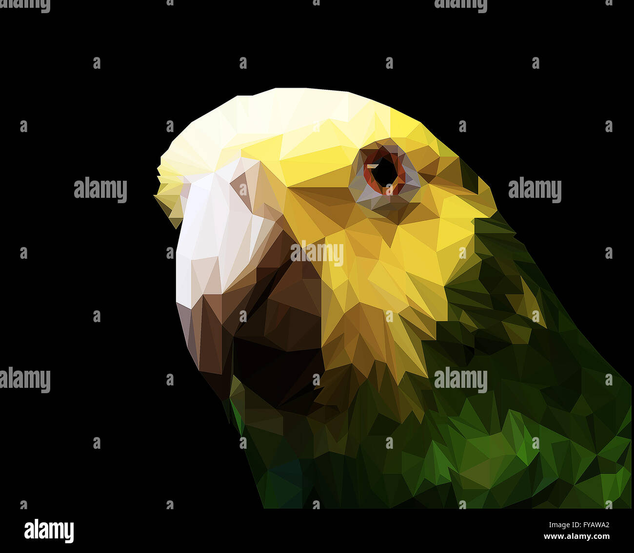 Low Poly illustration of a parrot Stock Photo - Alamy