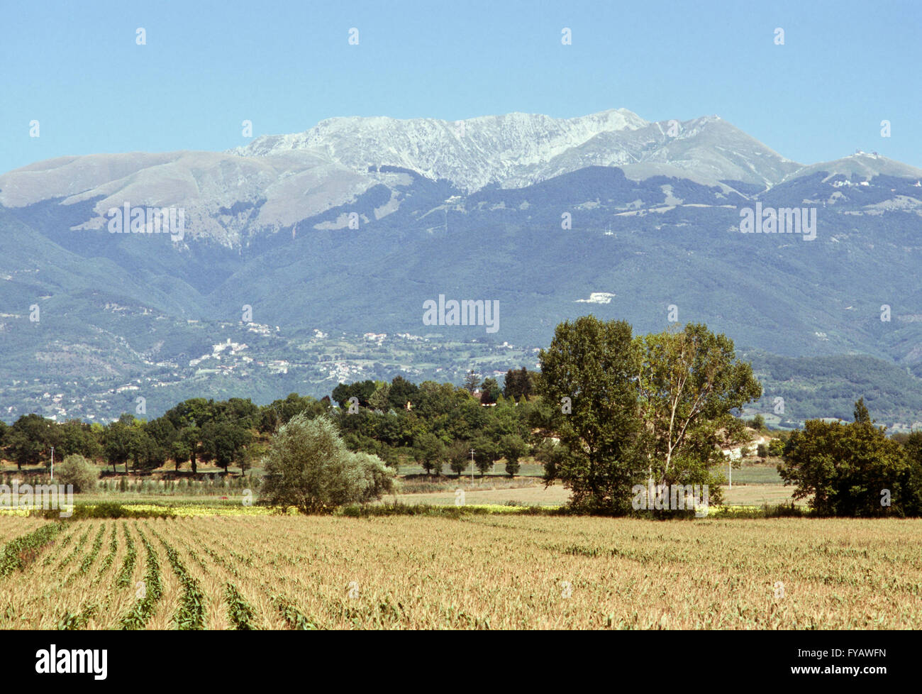 Agrestic landscape in the plain land of Rieti Latium with maize fields ...