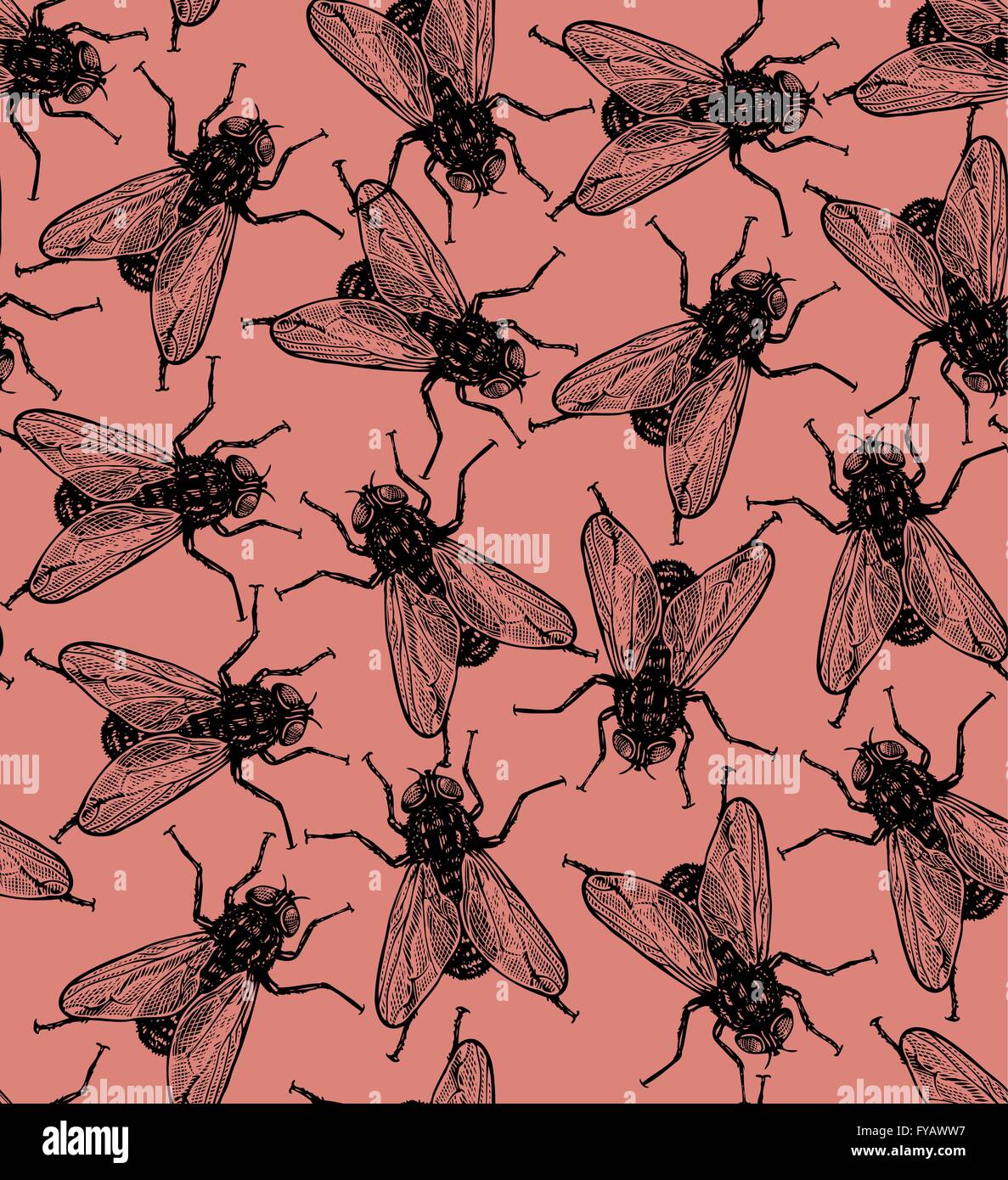 Vintage fly pattern Stock Vector Images - Alamy