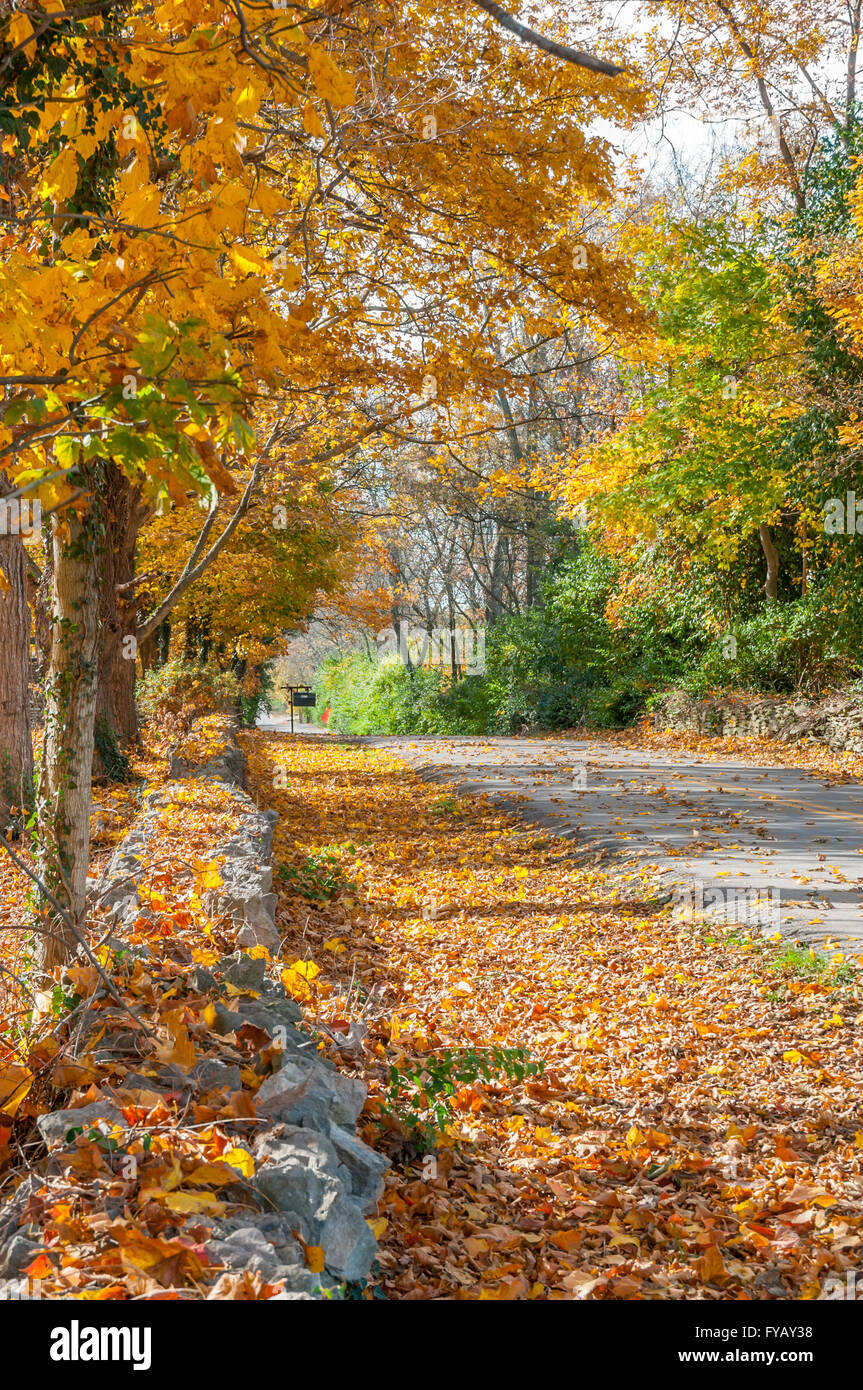 Colorful foliage in autumn on a rural road in Kentucky USA Stock Photo ...
