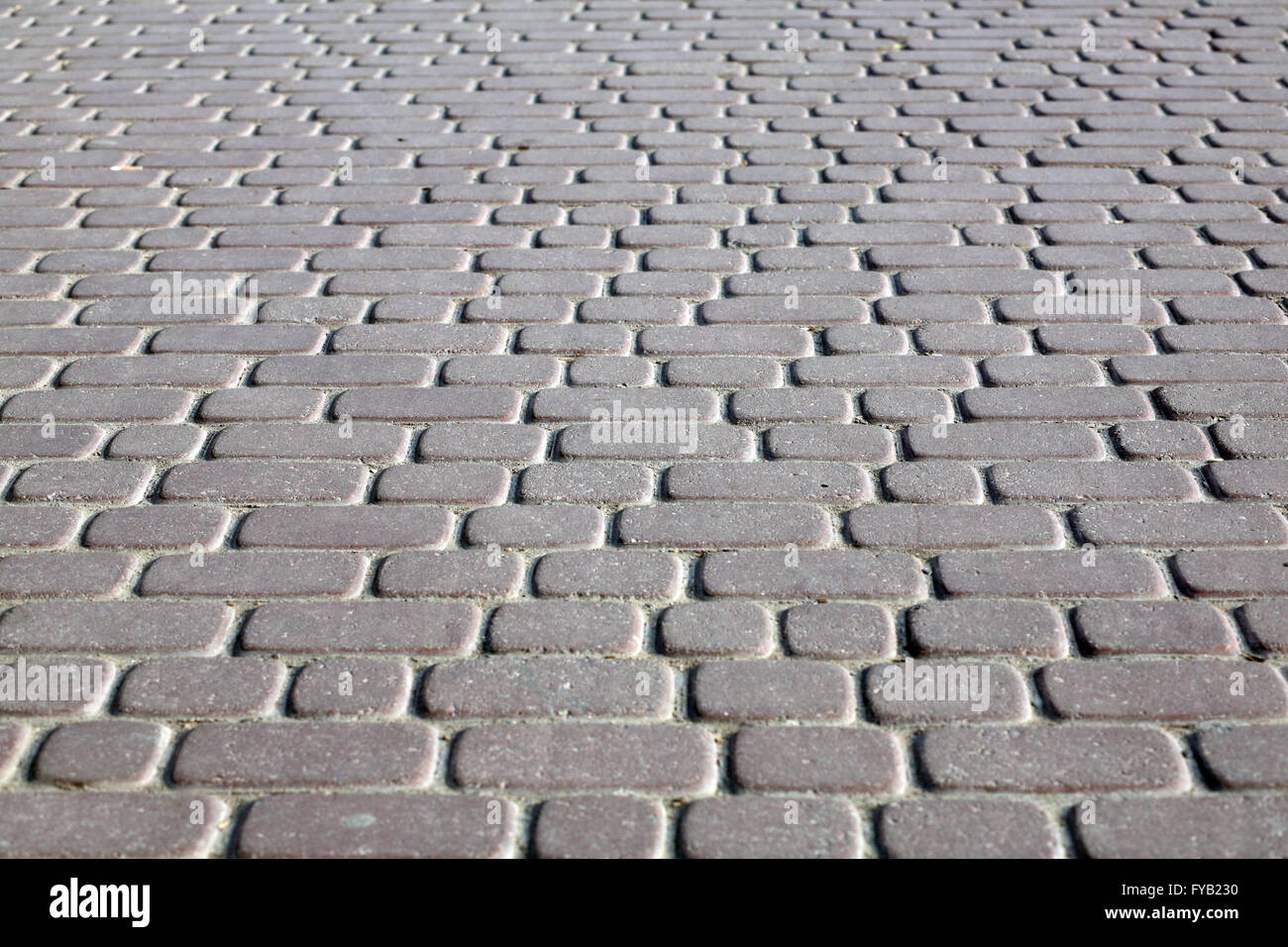 Cobblestone Pavement at day Stock Photo - Alamy