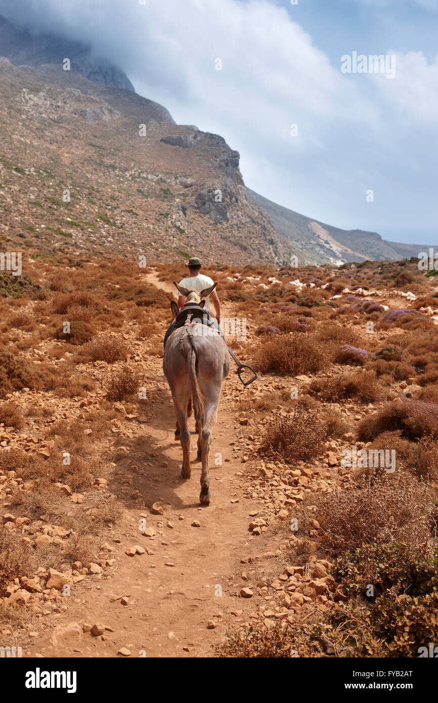 Donkey in crete hi-res stock photography and images - Alamy