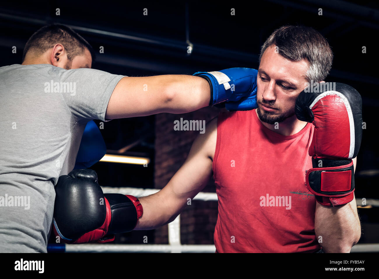 Two athletes sparred in the ring Stock Photo - Alamy