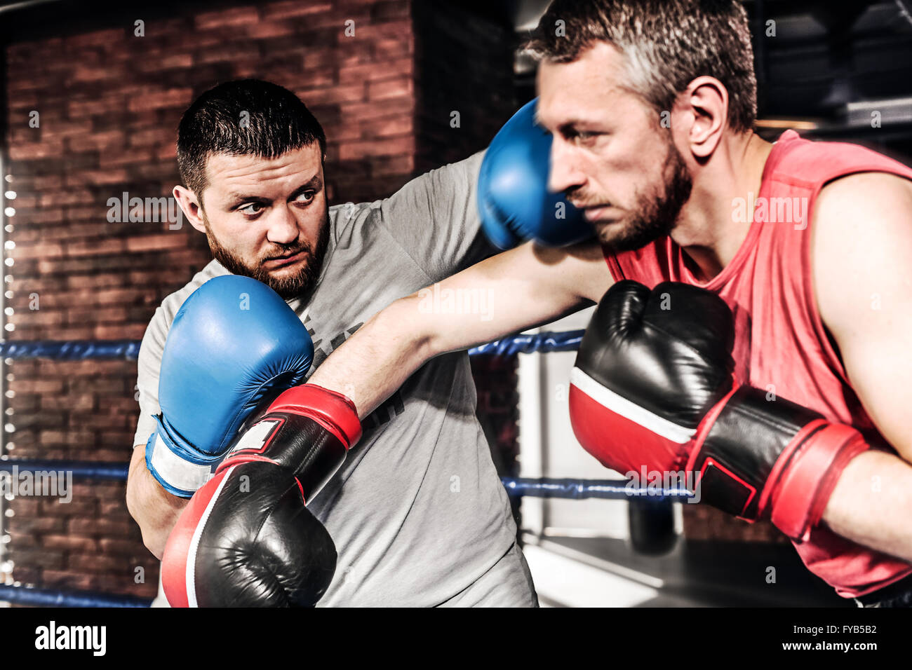 Fight two professional boxers hi-res stock photography and images - Alamy