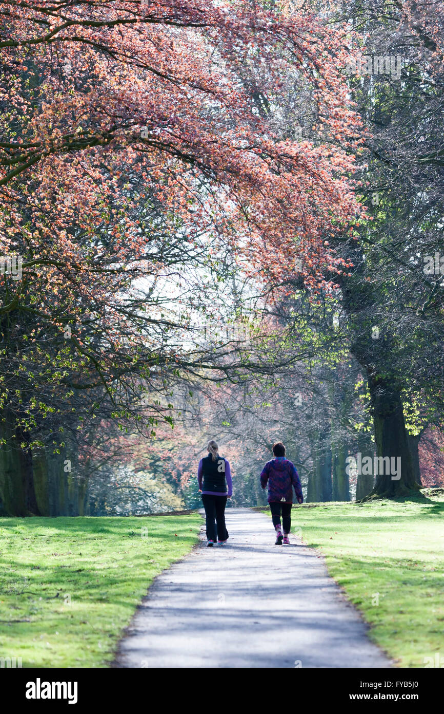 Female friends walking back view hi-res stock photography and images ...
