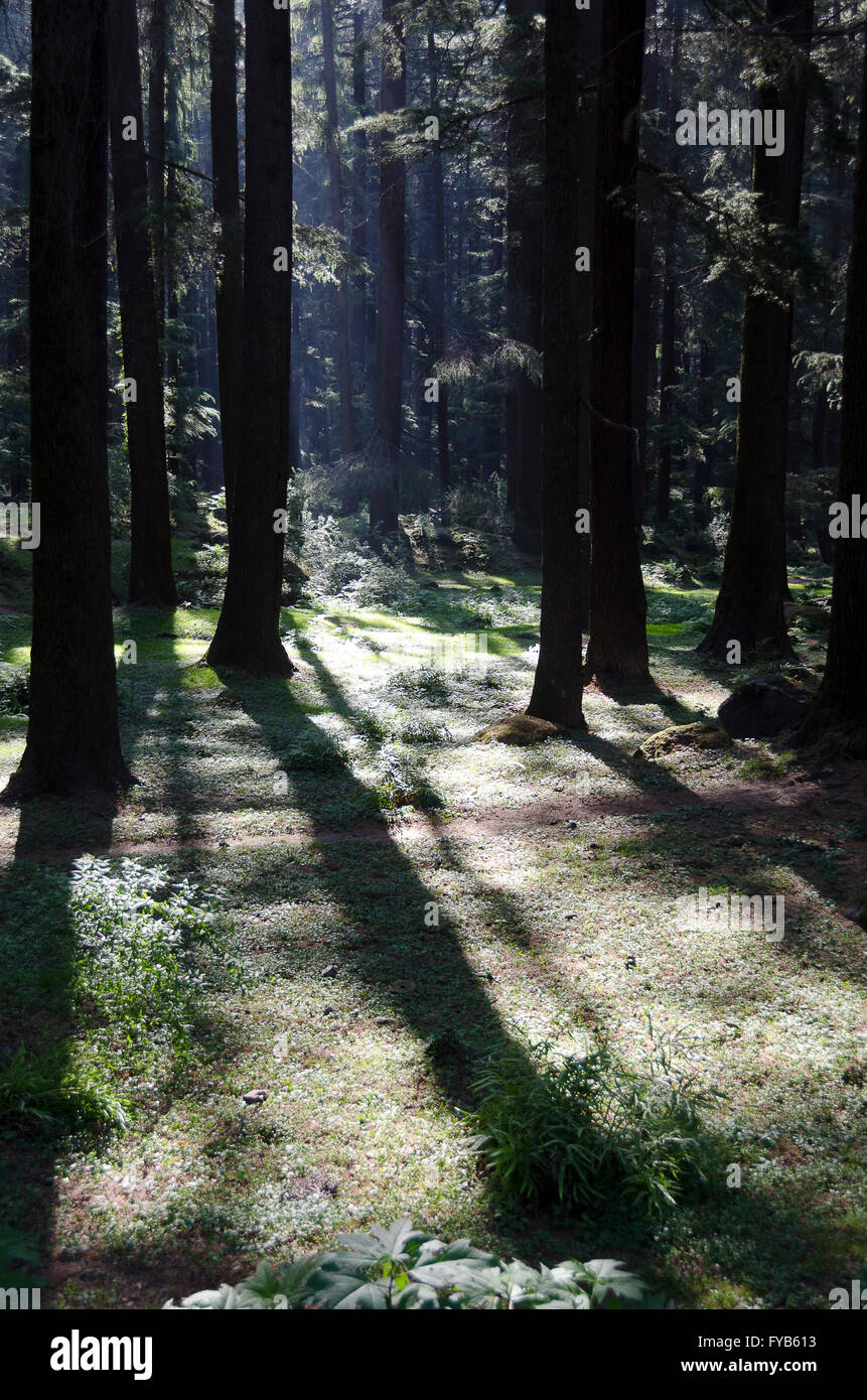 Manali Himachal Pradesh India Stock Photos & Manali Himachal Pradesh ...