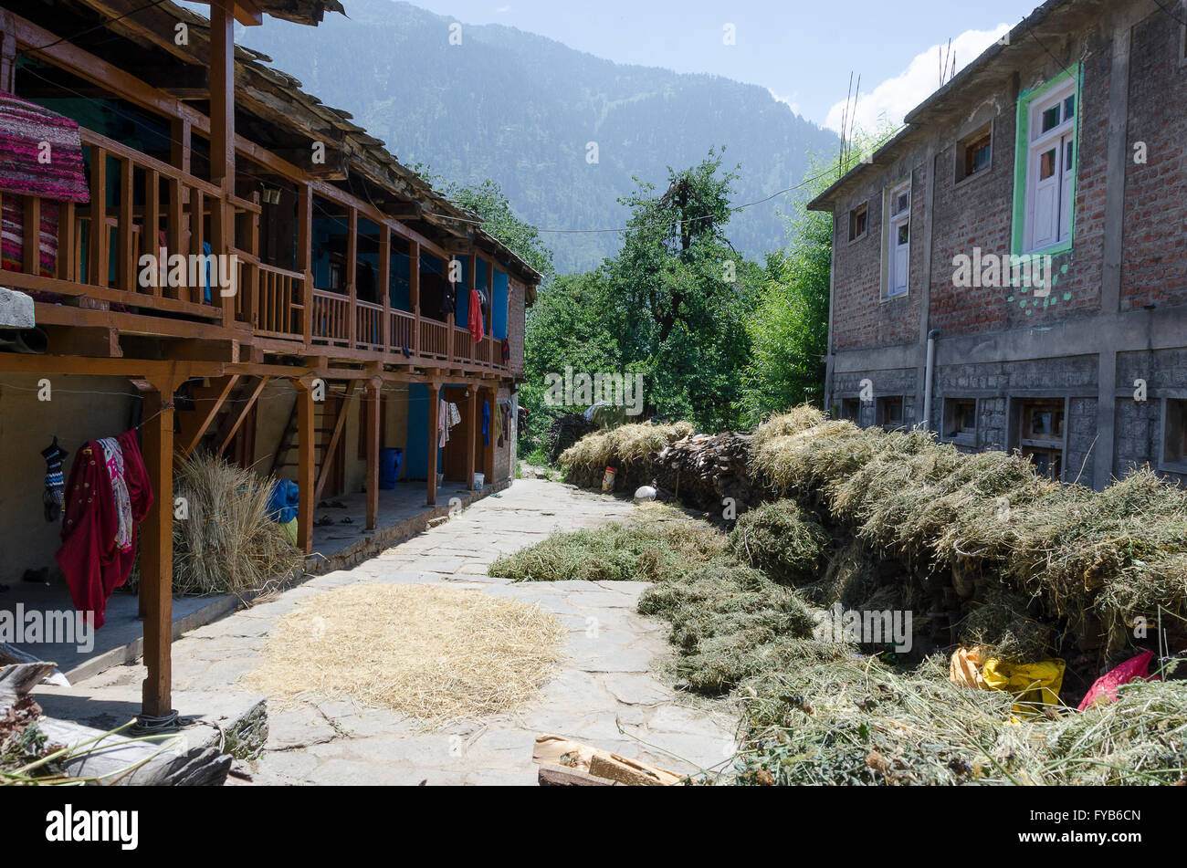 Drying grain hi-res stock photography and images - Alamy