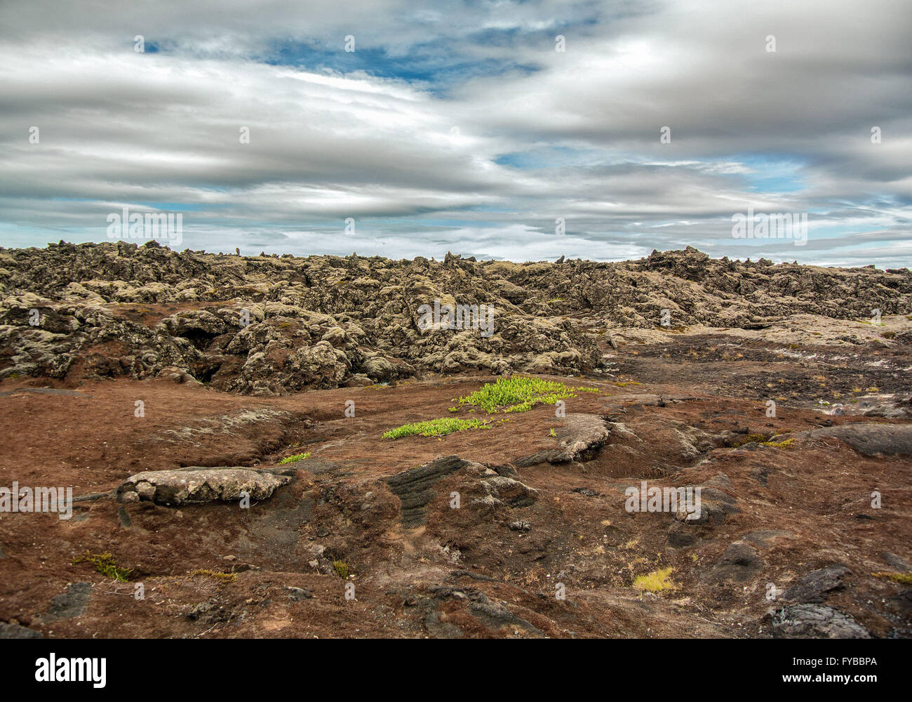 Boulders with moss growing on them hi-res stock photography and images ...