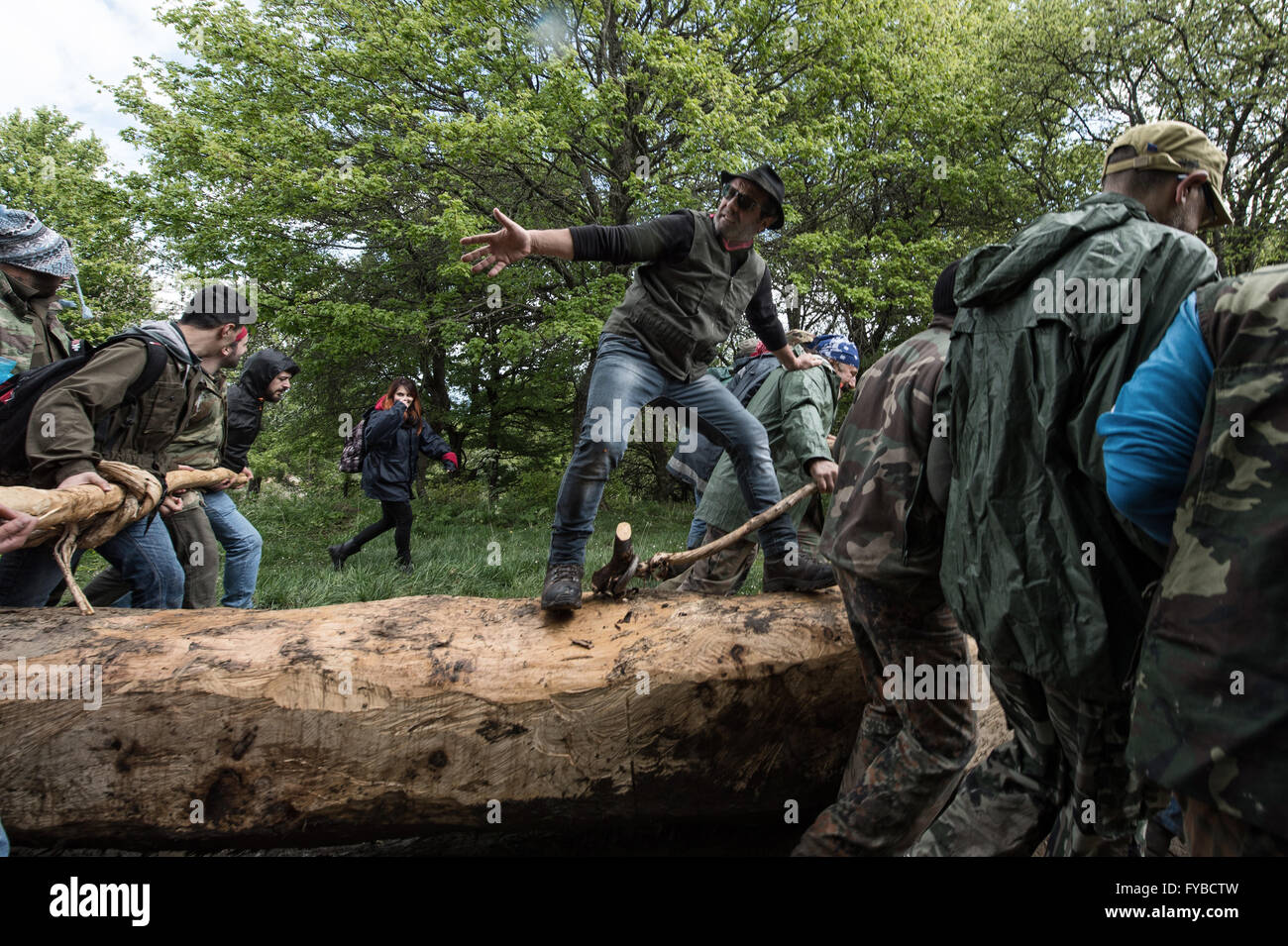 Alessandria del Carretto, Italy. 24th Apr, 2016. The people dragging ...